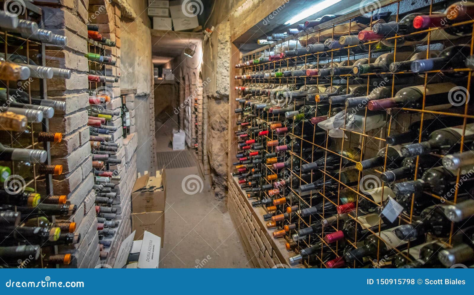 Large Wine Collection in Cellar Editorial Stock Photo - Image of ...