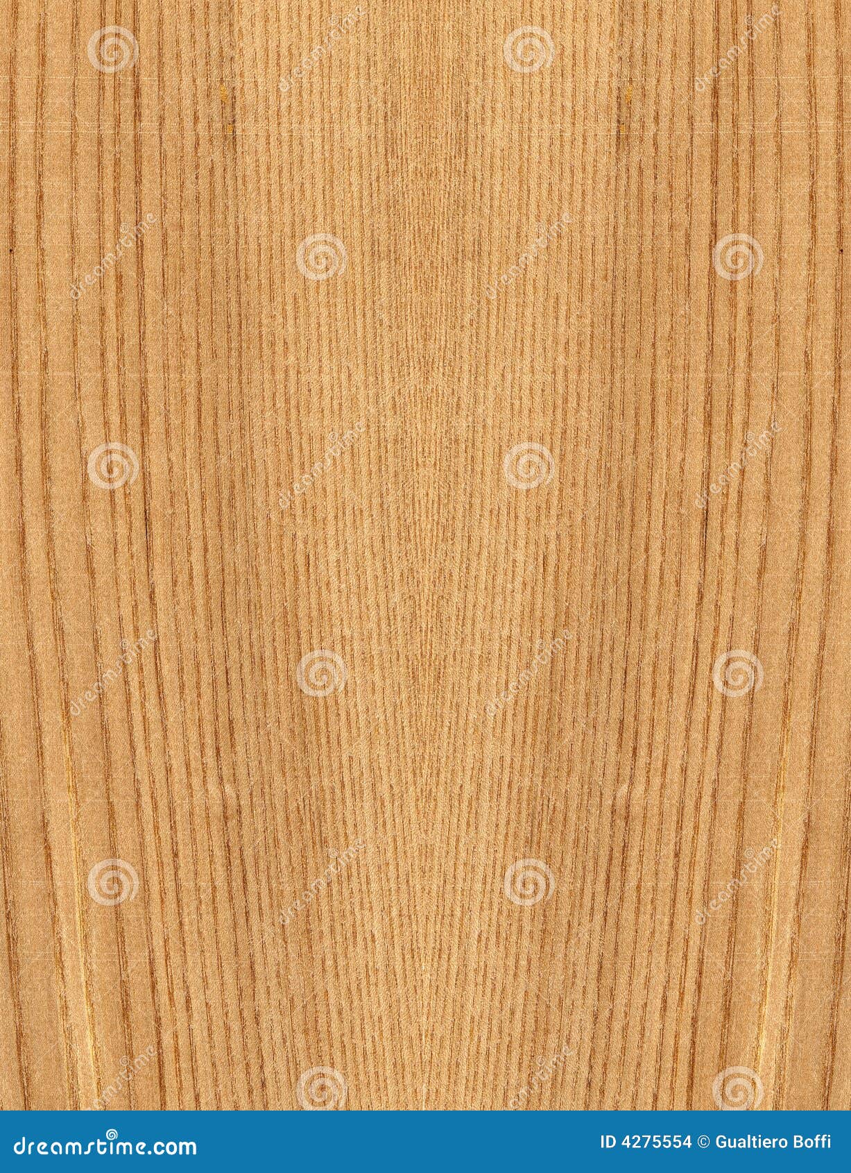 Large wood texture stock photo. Image of maple, golden - 4275554
