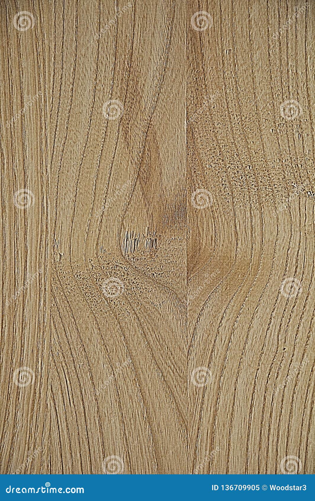 Large Wood Texture with a Knot. Stock Image - Image of floor, natural ...