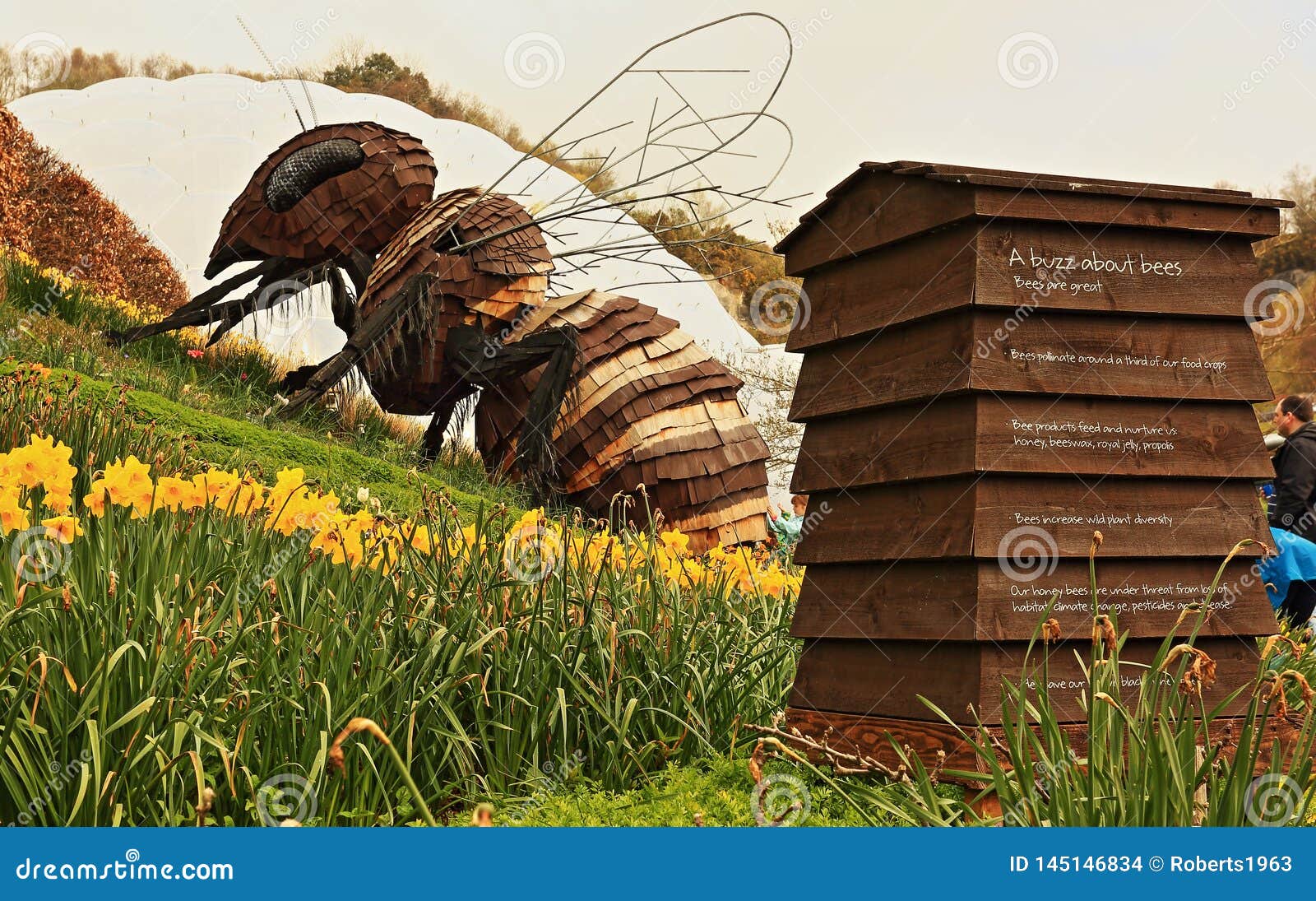 Bee Sculpture at the Eden Project, Cornwall Stock Photo - Image of ...