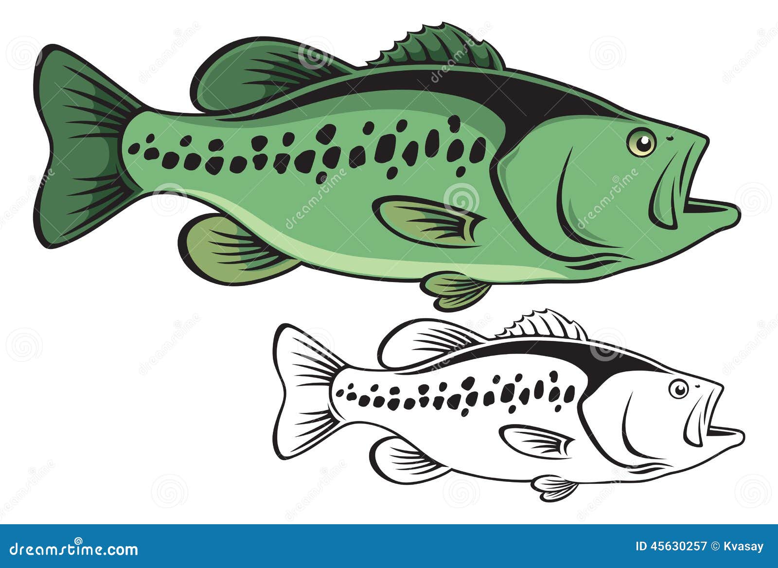 Largemouth bass stock vector. Illustration of lure, fish - 45630257