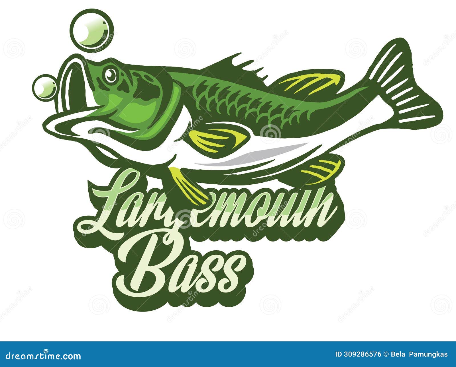 Largemouth Bass Isolated on White Background Stock Vector ...