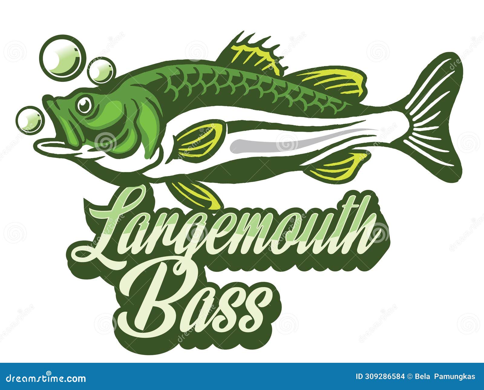 Largemouth Bass Isolated on White Background Stock Vector ...