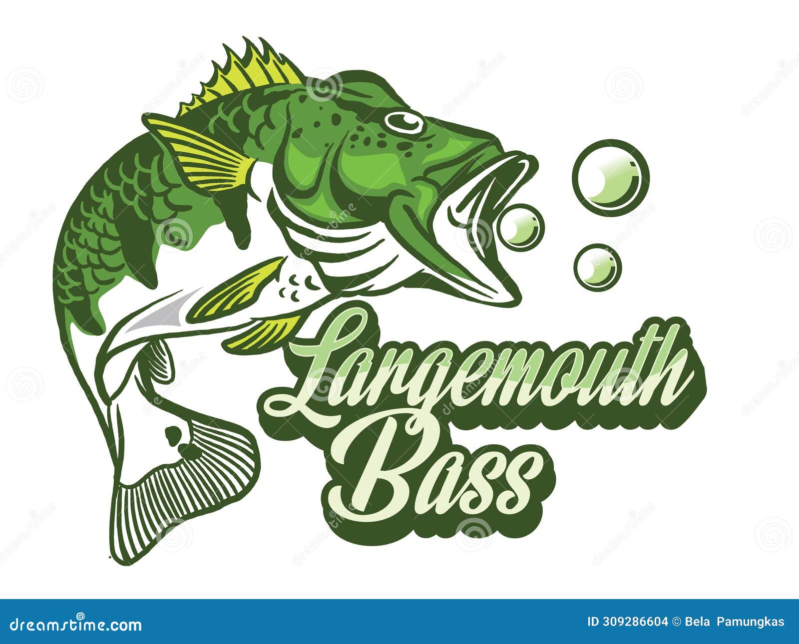 Largemouth Bass Isolated on White Background Stock Vector ...