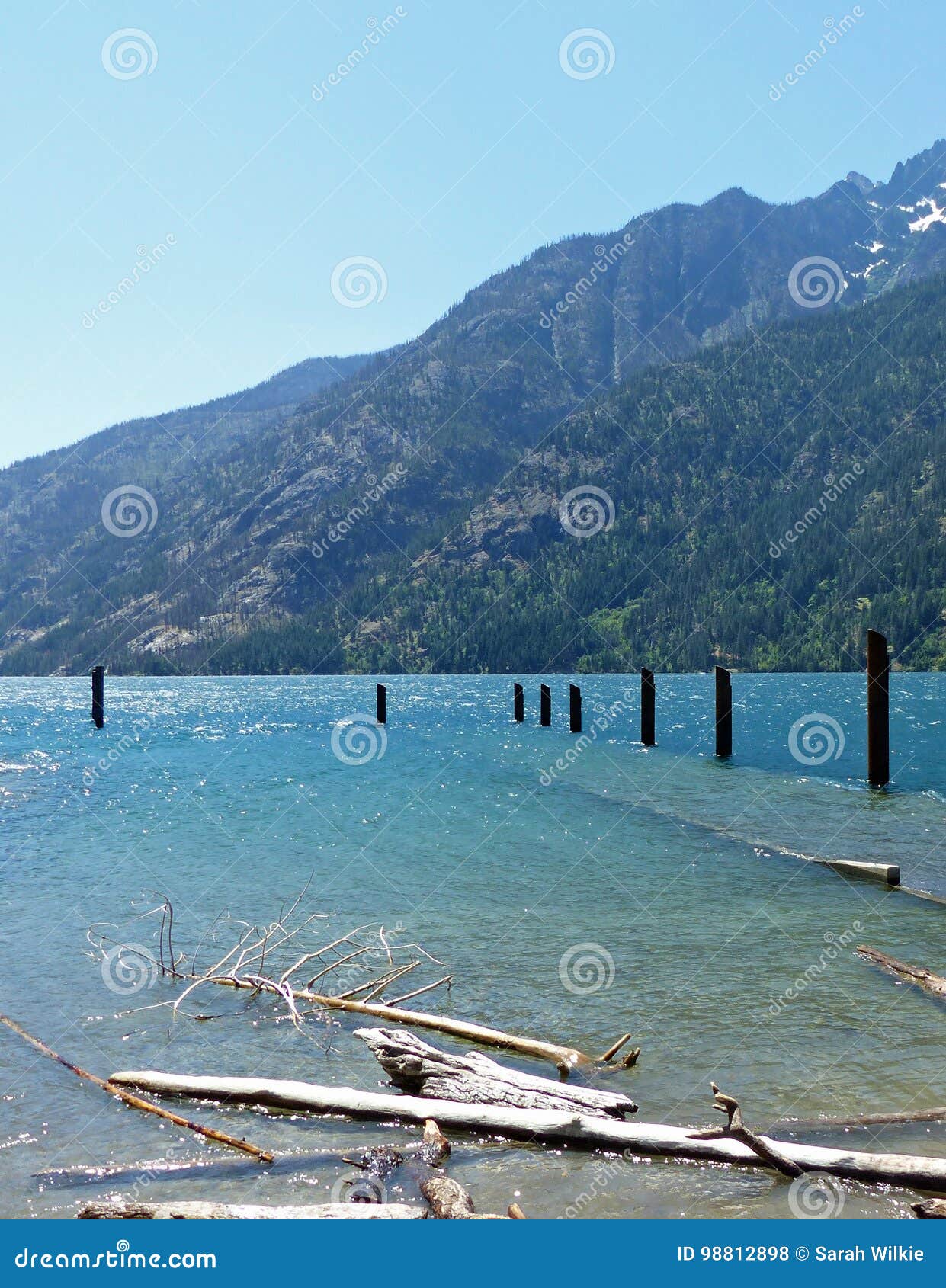 Lake Chelan at Stehekin, WA Stock Photo - Image of landing, poles: 98812898