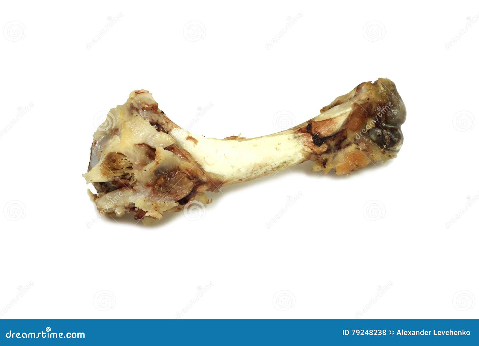 Largest pork bone gnawed stock photo. Image of hungry - 79248238