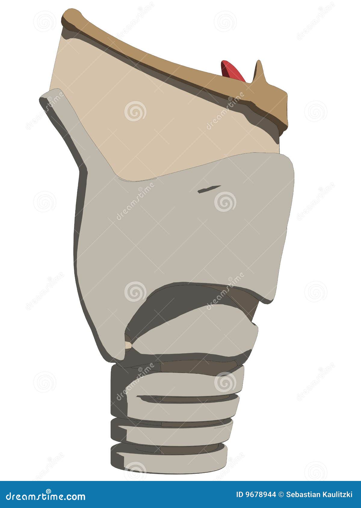 Laringe humana ilustración del vector. Ilustración de transversal - 9678944