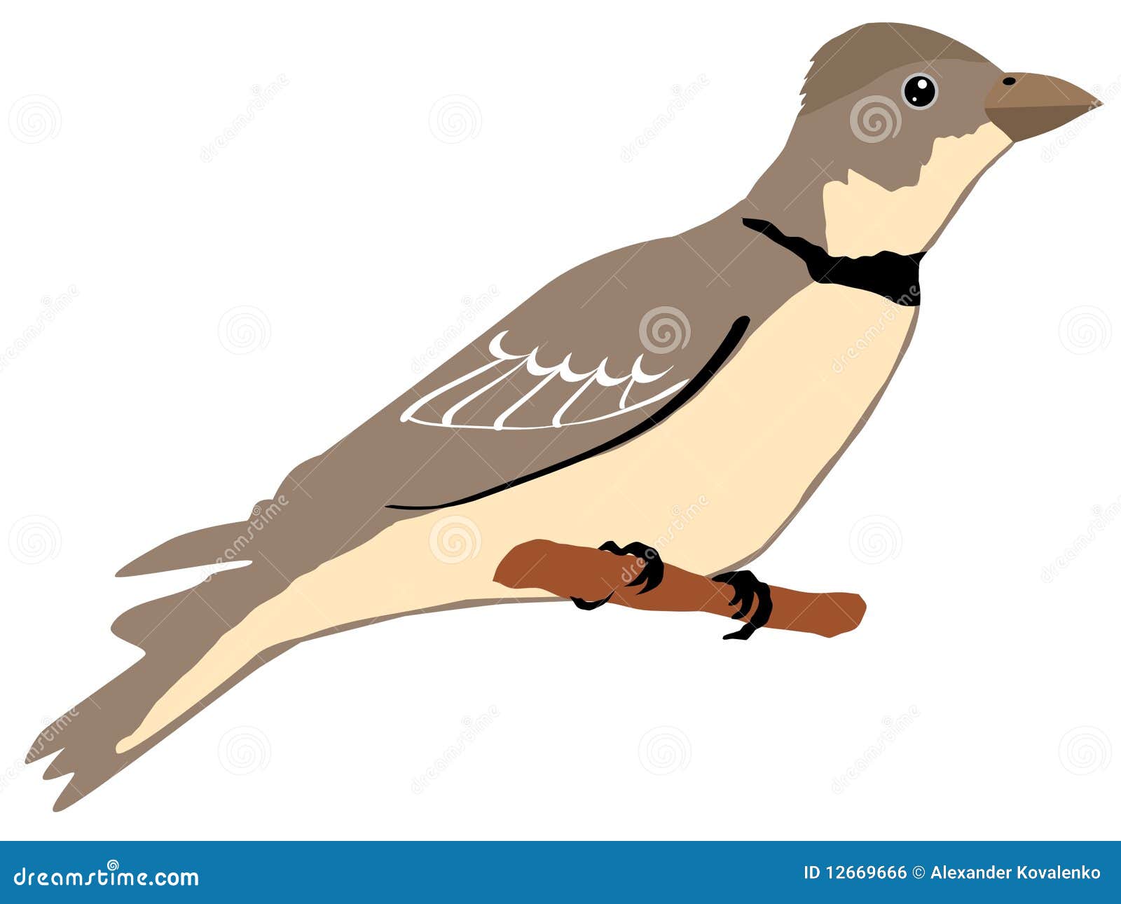 Lark stock vector. Illustration of shape, wing, alauda - 12669666