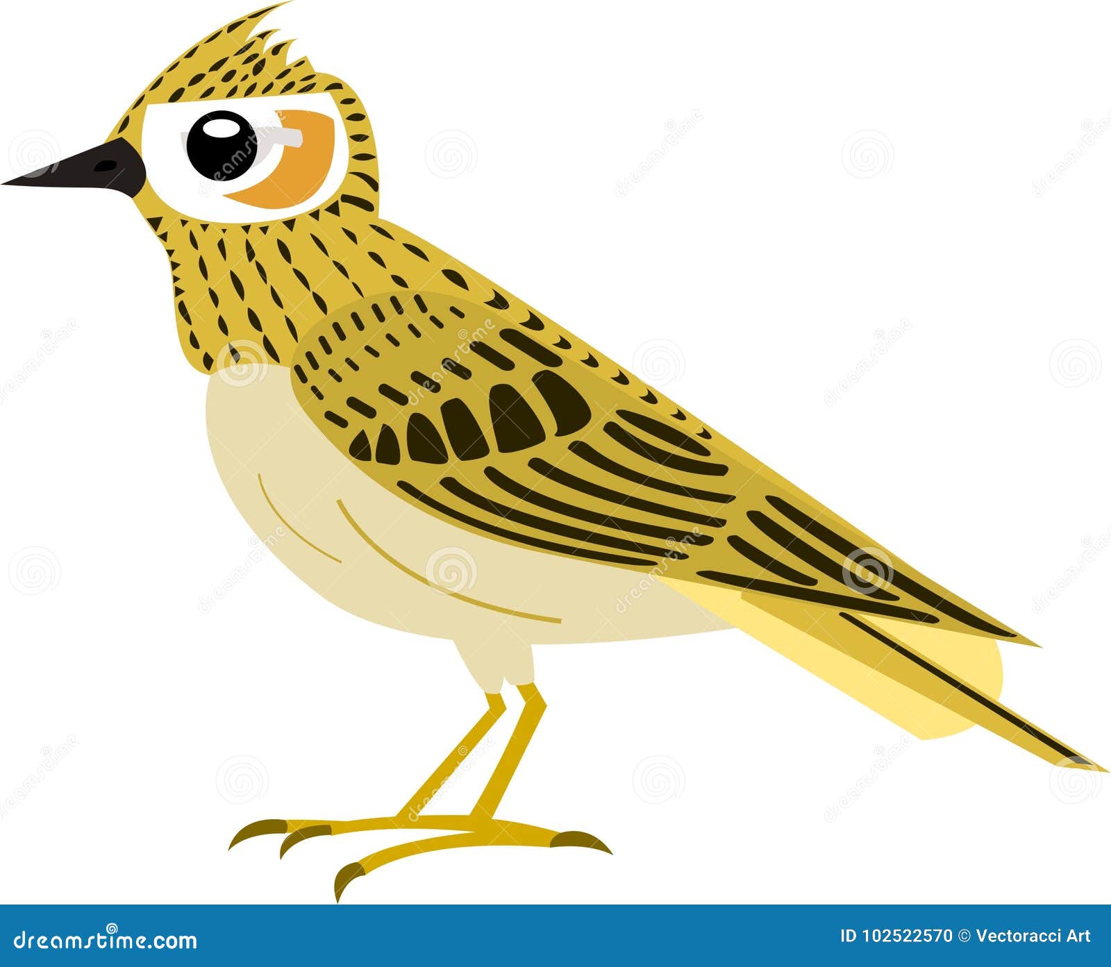 Lark stock illustration. Illustration of wildlife, lark - 102522570