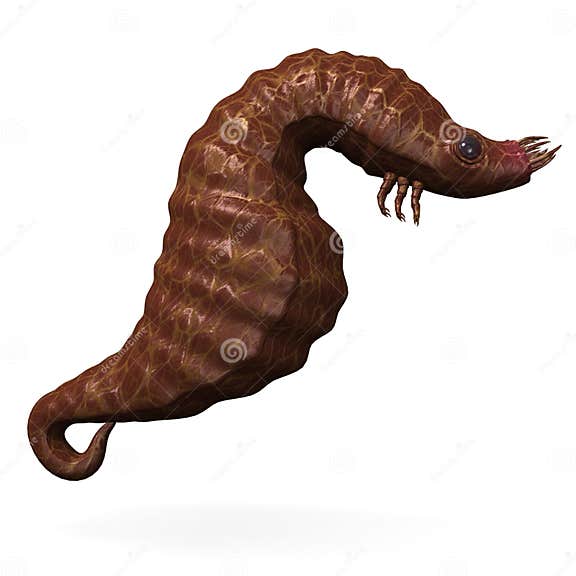 Larva stock illustration. Illustration of insect, beast - 11844641