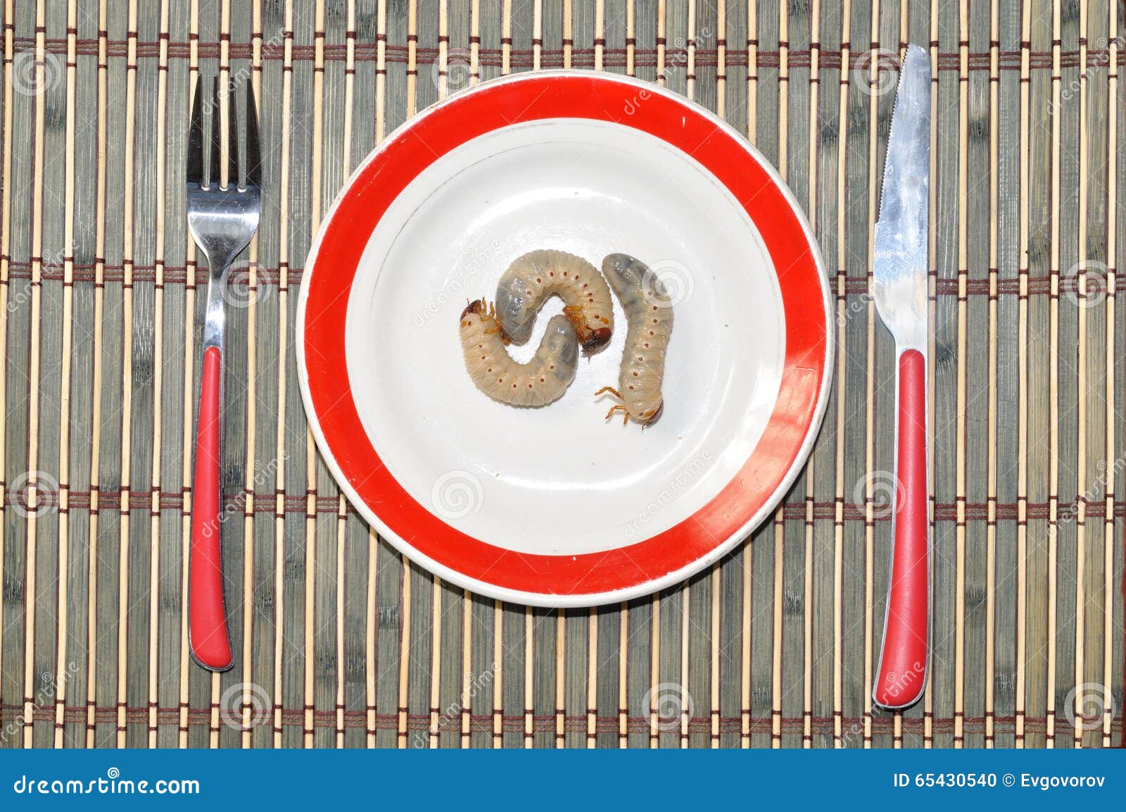 Larvae on Plate with Fork and Knife Stock Photo - Image of lunch, dish ...