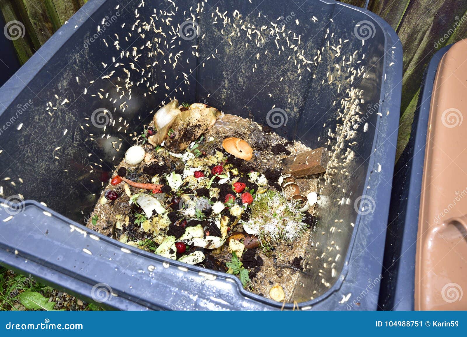 Larves Dans Une Poubelle De Compost Image stock - Image du organique ...