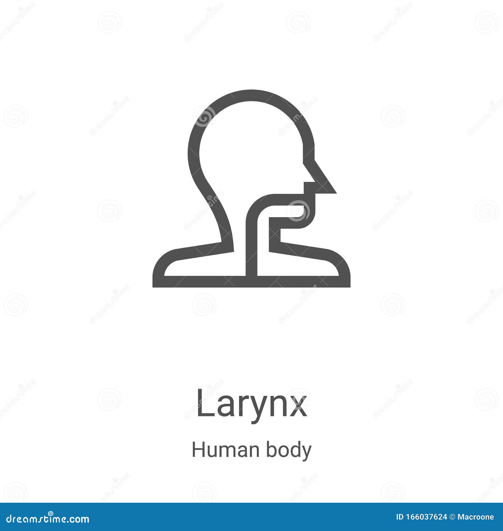 Larynx Icon Vector from Human Body Collection. Thin Line Larynx Outline ...