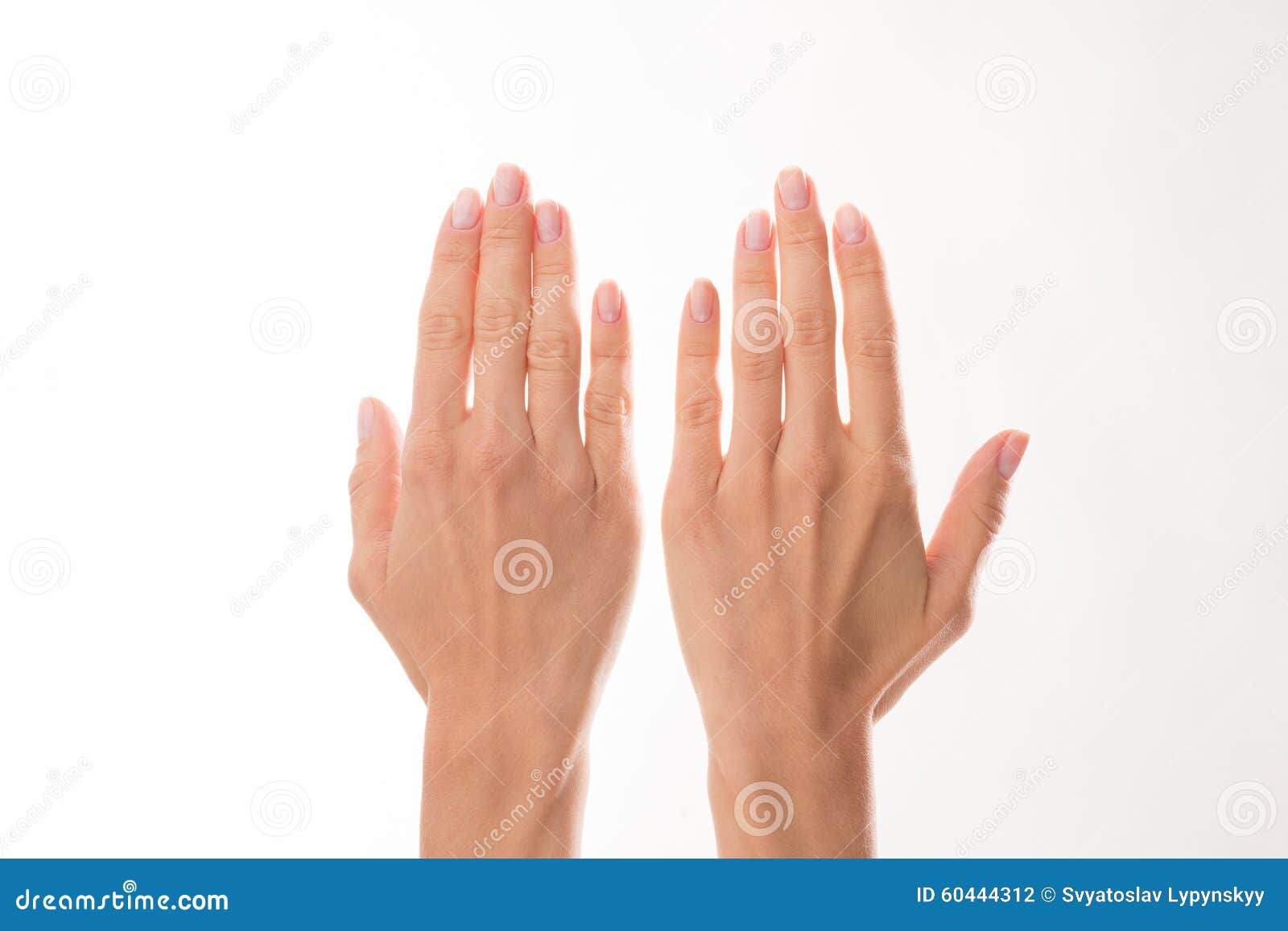 Las dos manos de la mujer foto de archivo. Imagen de éxito - 60444312
