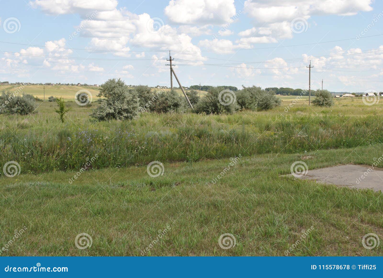 Las Extensiones Extensas De La Tierra Rusa Foto de archivo - Imagen de ...