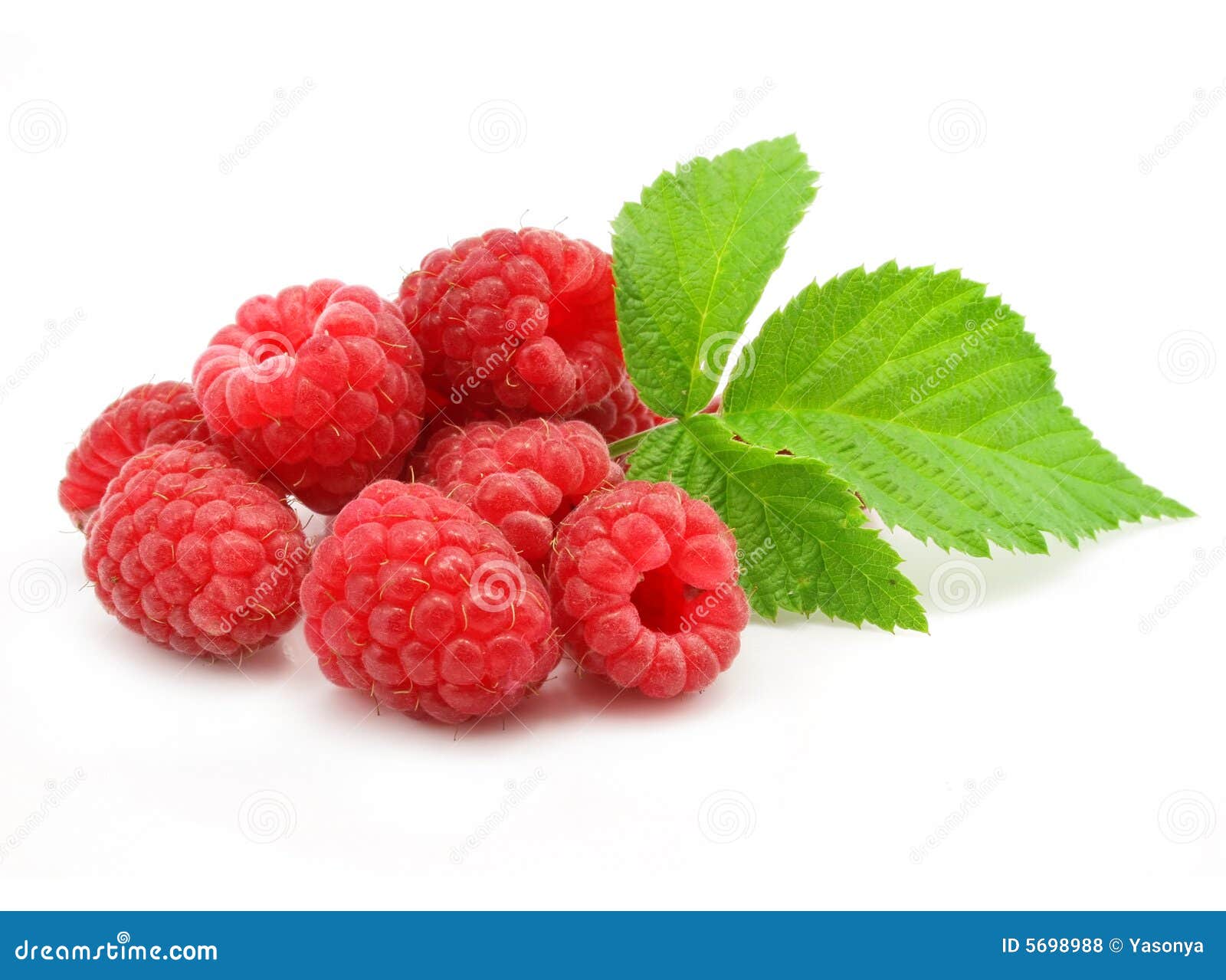 Las Frutas De La Frambuesa Roja Aislaron Foto de archivo - Imagen de ...