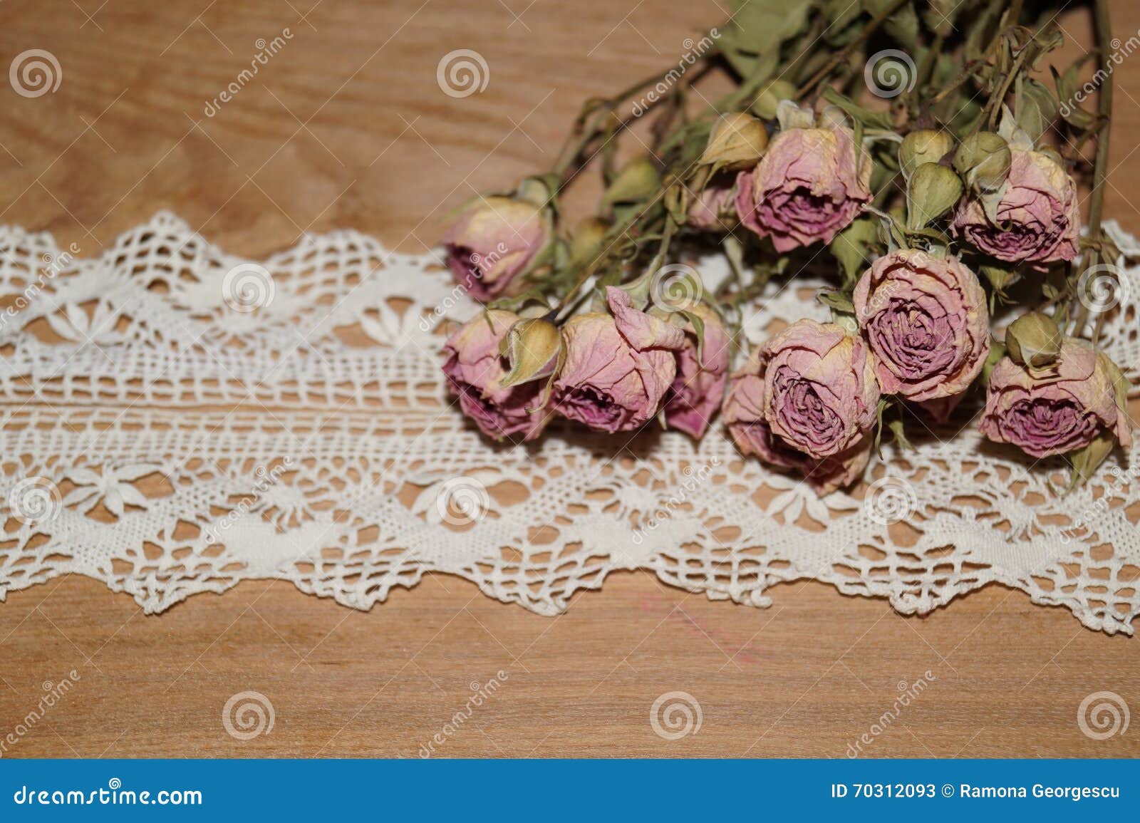 Las rosas marchitan y atan imagen de archivo. Imagen de pétalos - 70312093