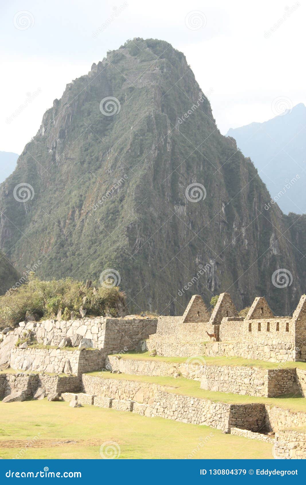 Las ruinas de Machu Picchu imagen de archivo. Imagen de vacaciones ...