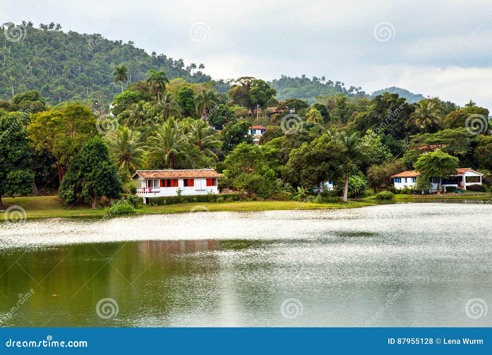 Las Terrazas, Cuba stock photo. Image of caribbean, panorama - 87955128
