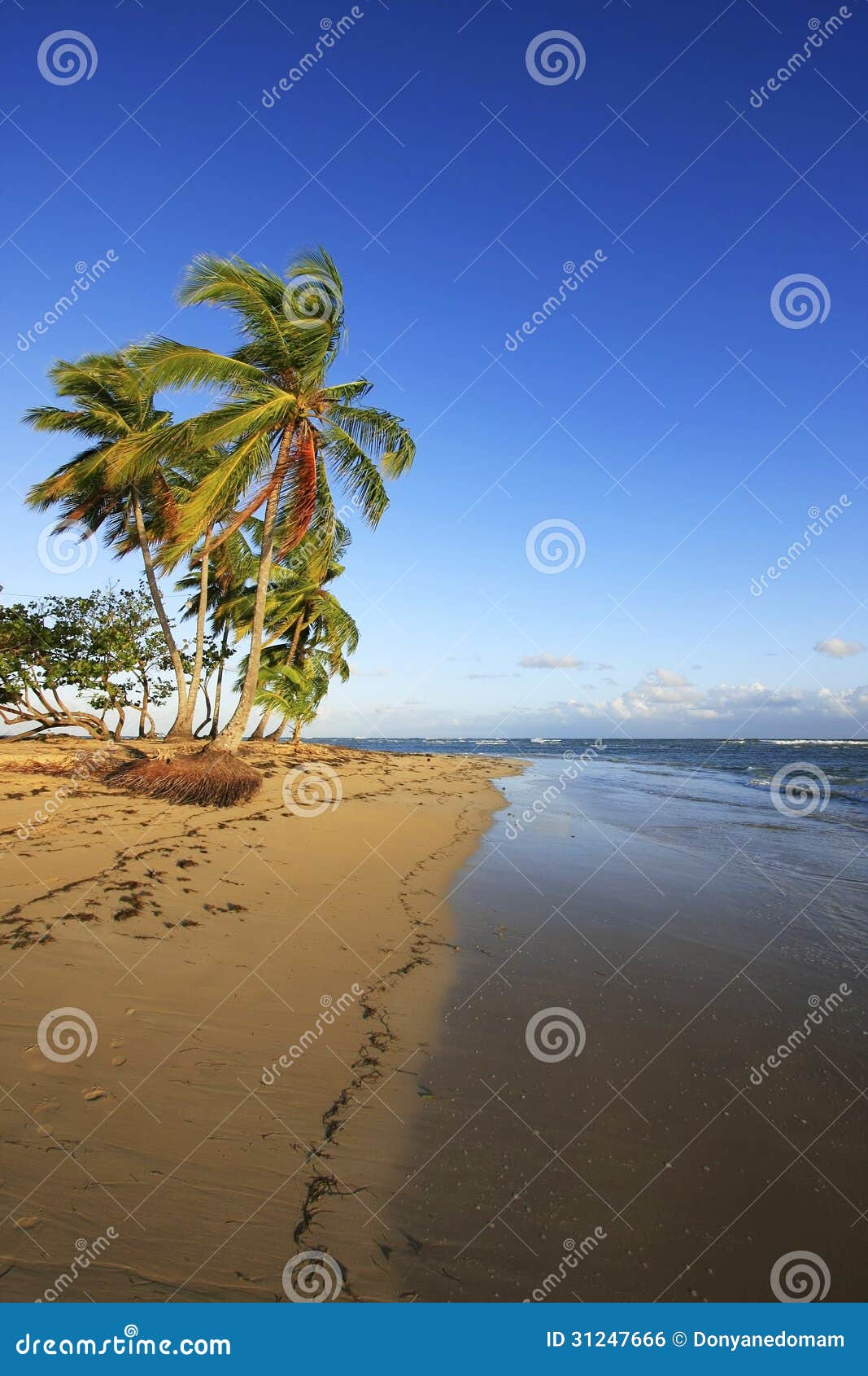 Las Terrenas Beach, Samana Peninsula Stock Photo - Image of scenic ...