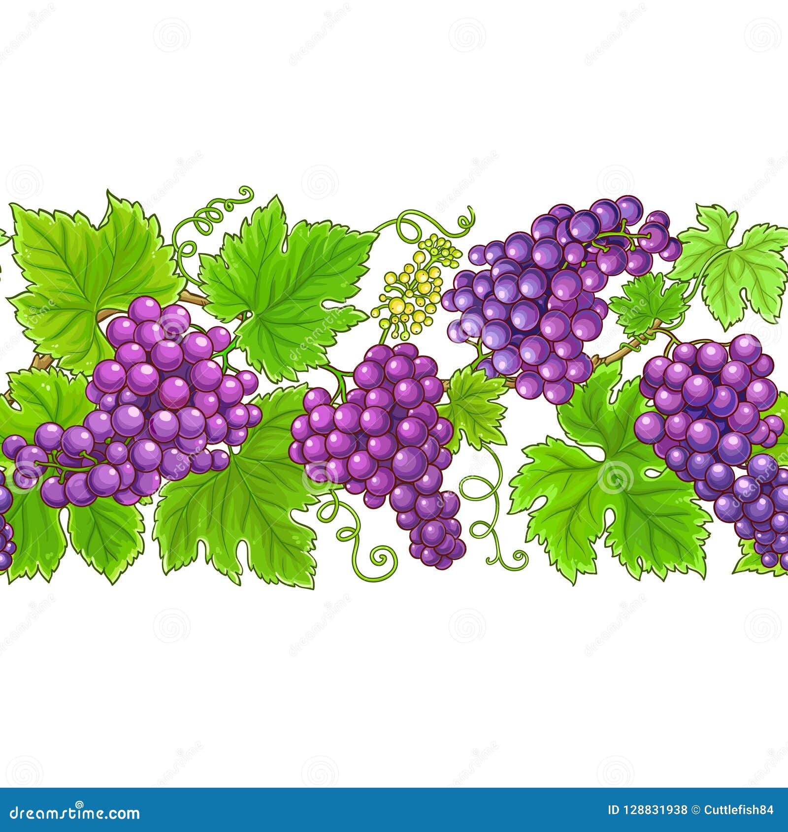 Las Uvas Vector El Modelo Horizontal Ilustración del Vector ...