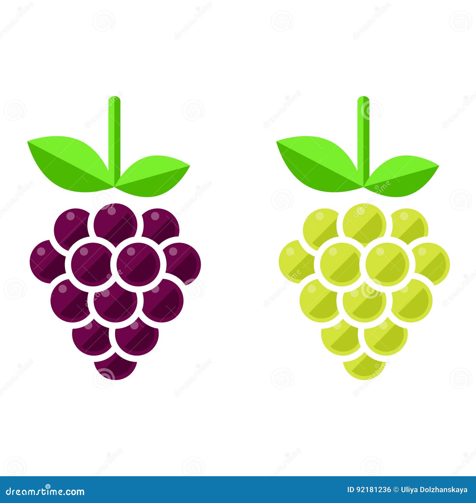 Las uvas vector el sistema ilustración del vector. Ilustración de ...