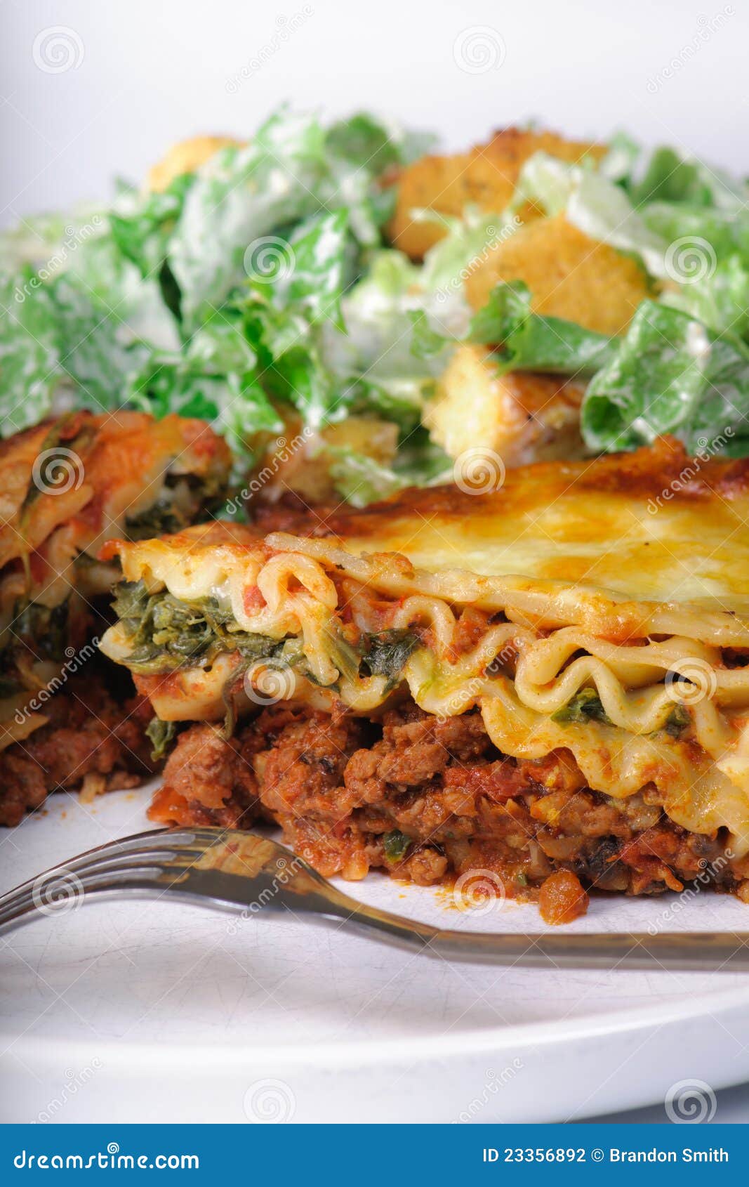 Lasagna Dinner stock photo. Image of cheese, plate, lettuce - 23356892
