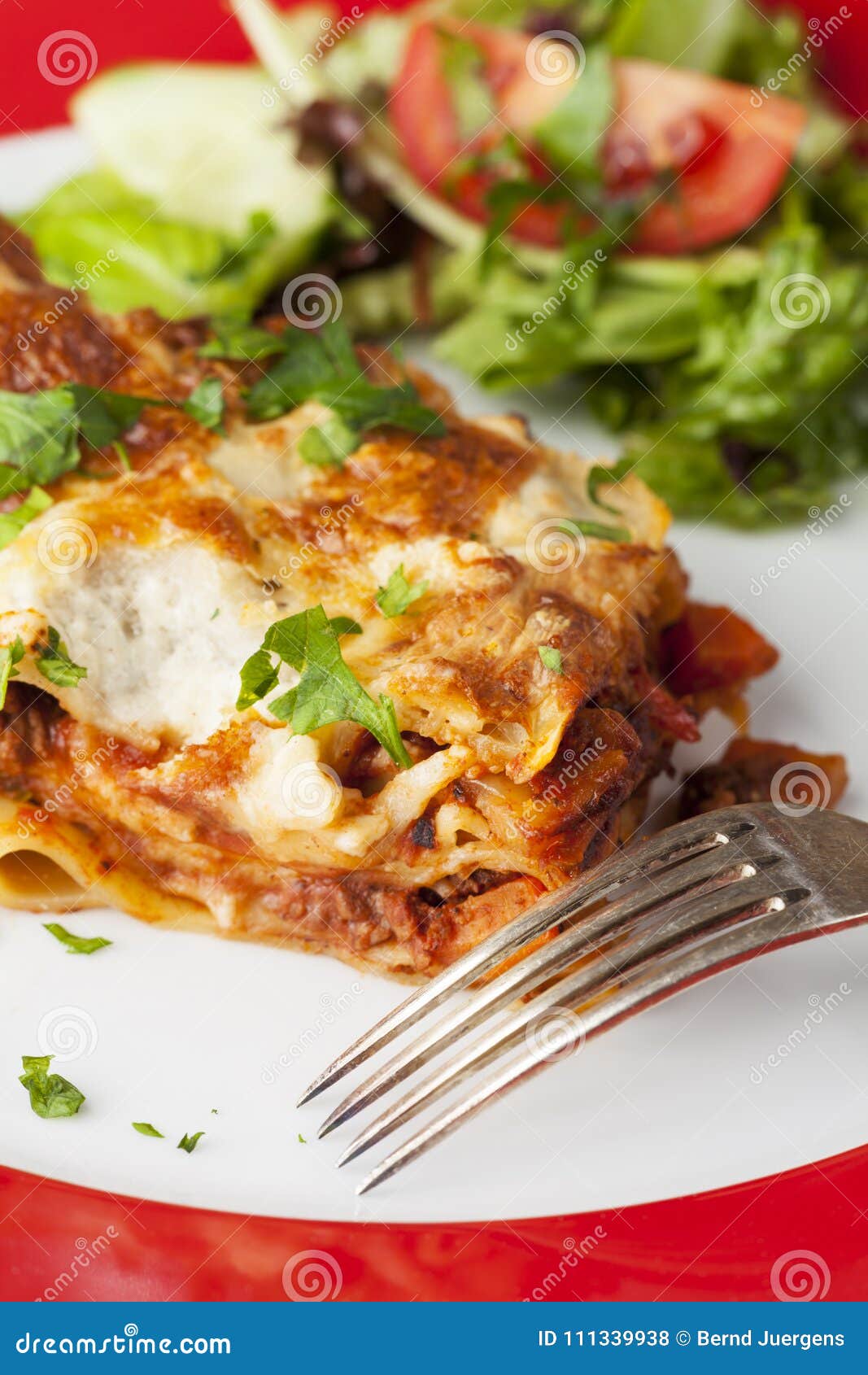 Lasagna stock photo. Image of bolognese, lettuce, beef - 111339938
