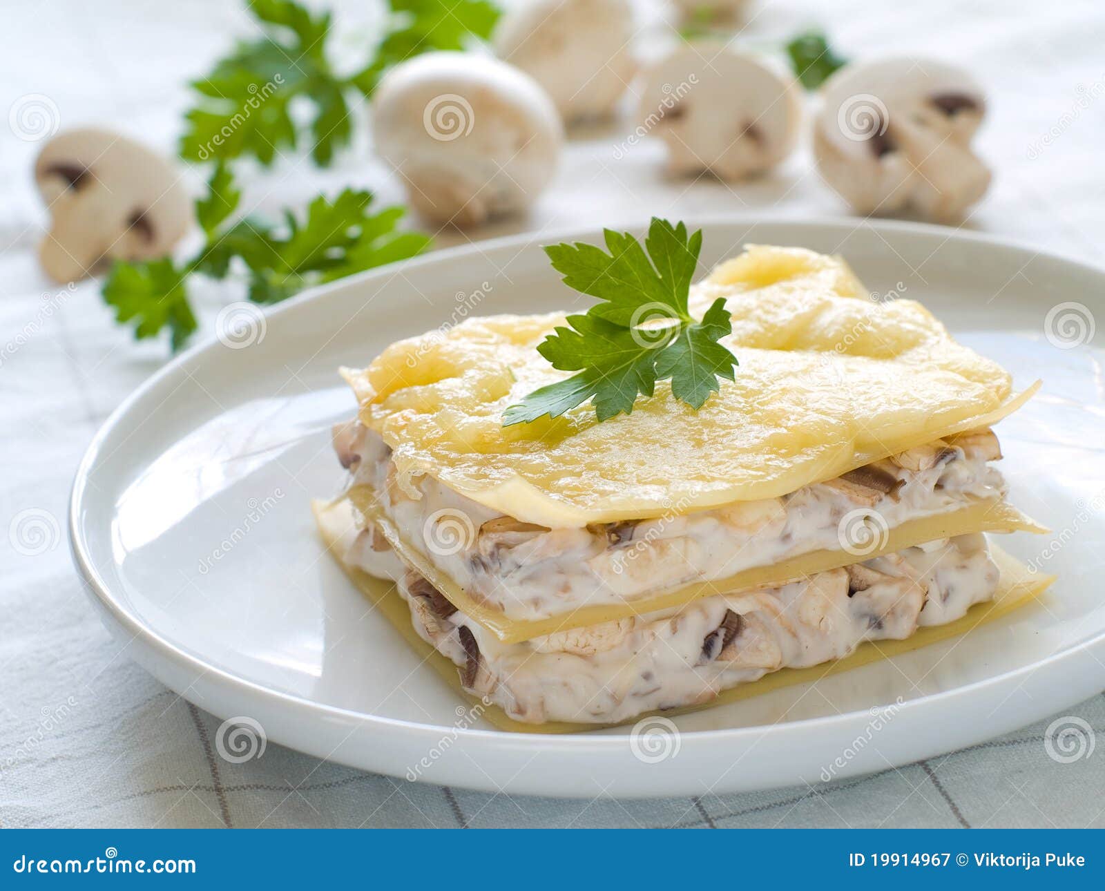 Lasagne stock image. Image of portion, color, parmesan - 19914967