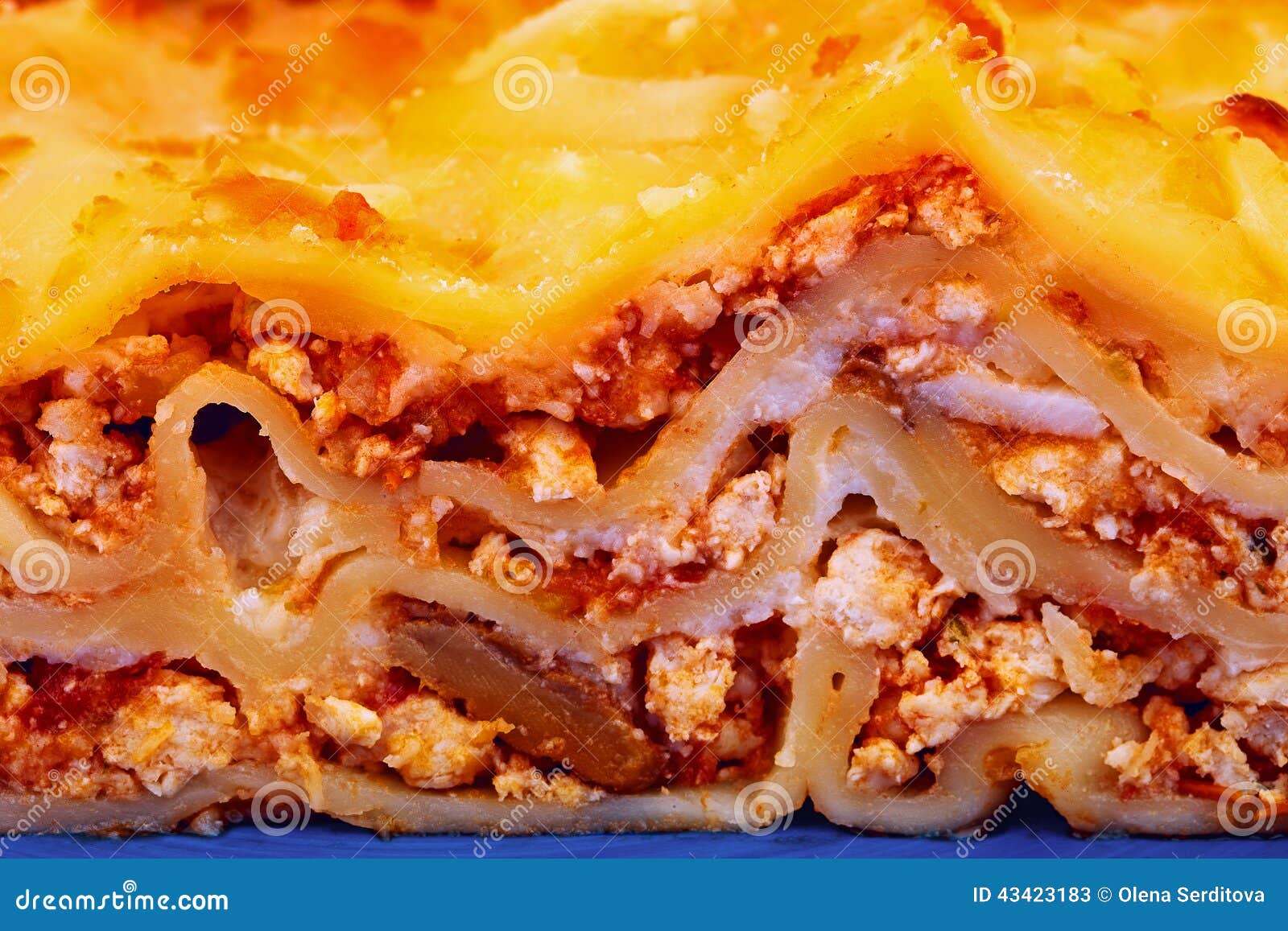 Lasagne slice on a plate stock image. Image of cheese - 43423183