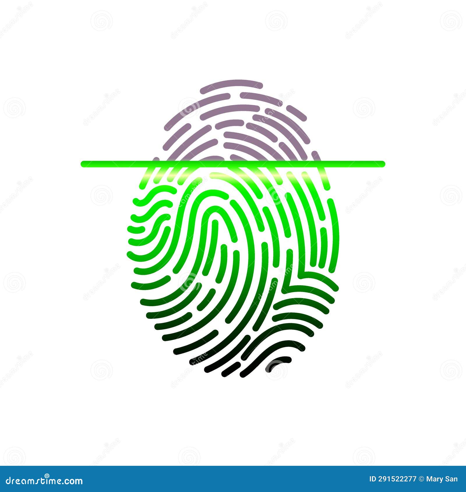 Laser Scanning of Fingerprint, Vector Illustration of Digital Biometric ...