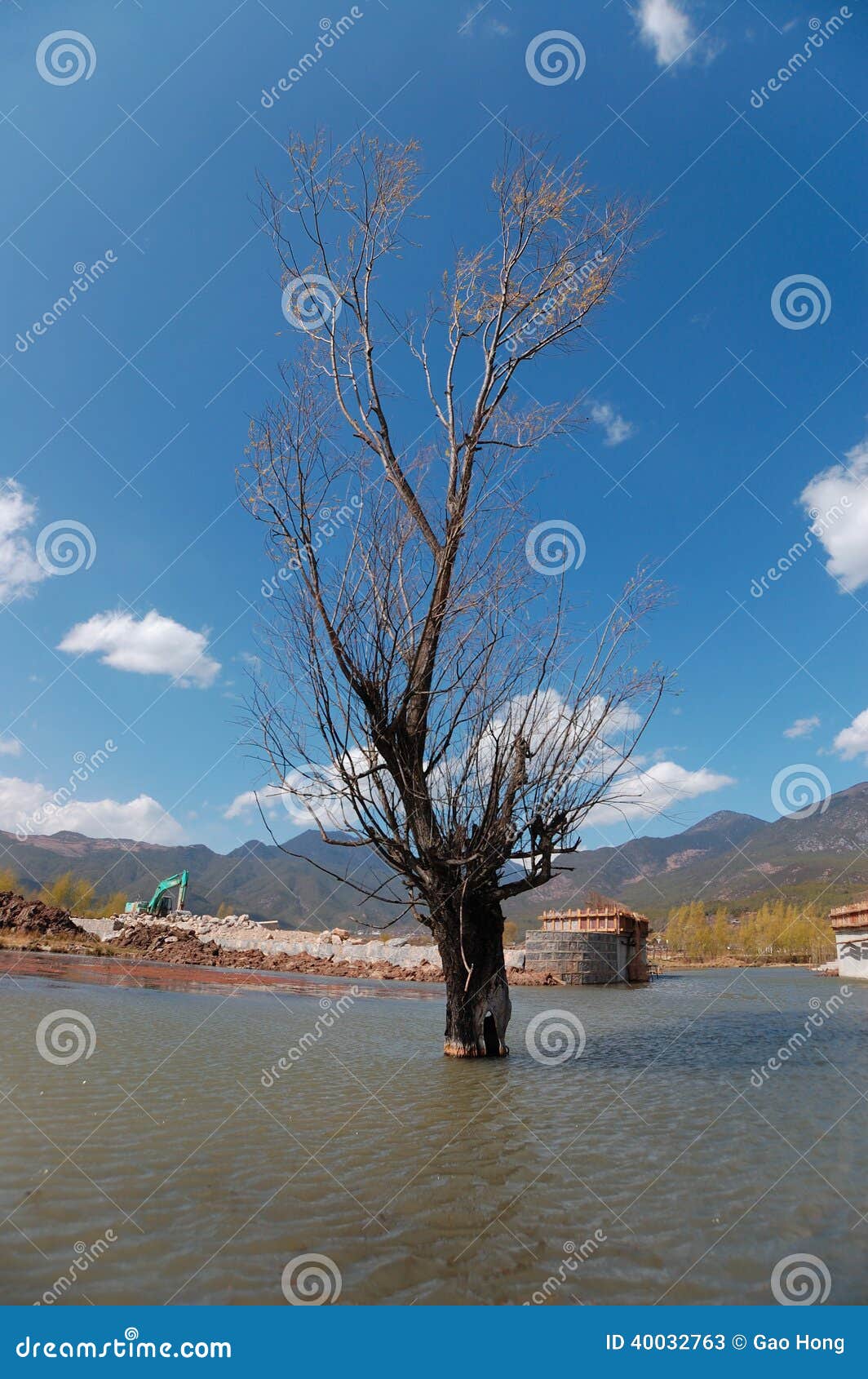 Lashi Lake stock image. Image of yunnan, tree, lakeside - 40032763