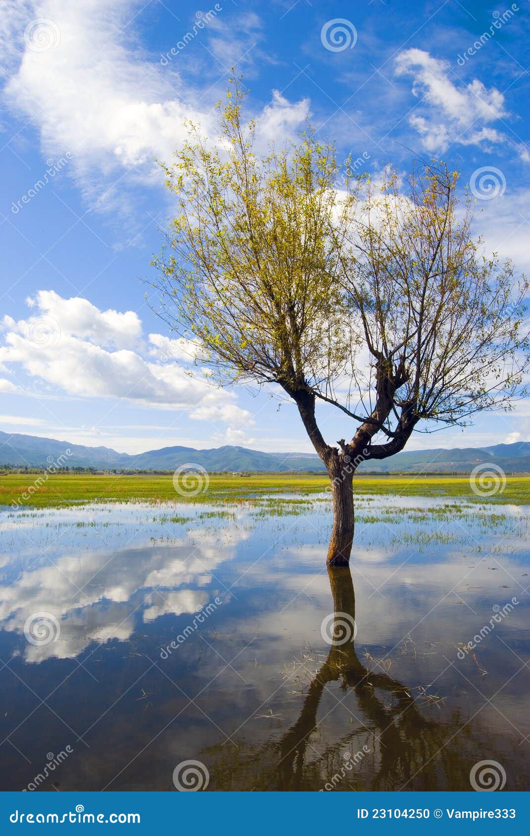 Lashihai Lake stock photo. Image of lake, land, nunja - 23104250
