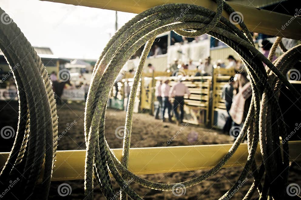 Lasso rope rodeo stock image. Image of noose, reata, bolo - 28540597