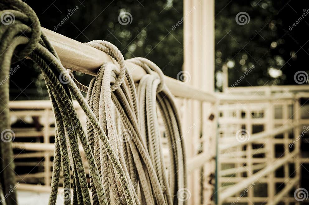 Lasso rope rodeo stock photo. Image of lariat, prairie - 28957640