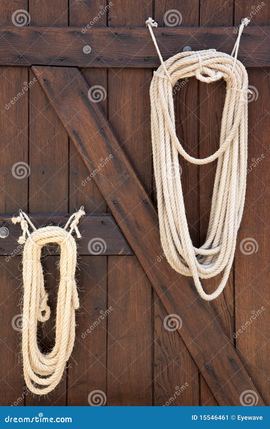 Lasso ropes at stable door stock image. Image of rolled - 15546461
