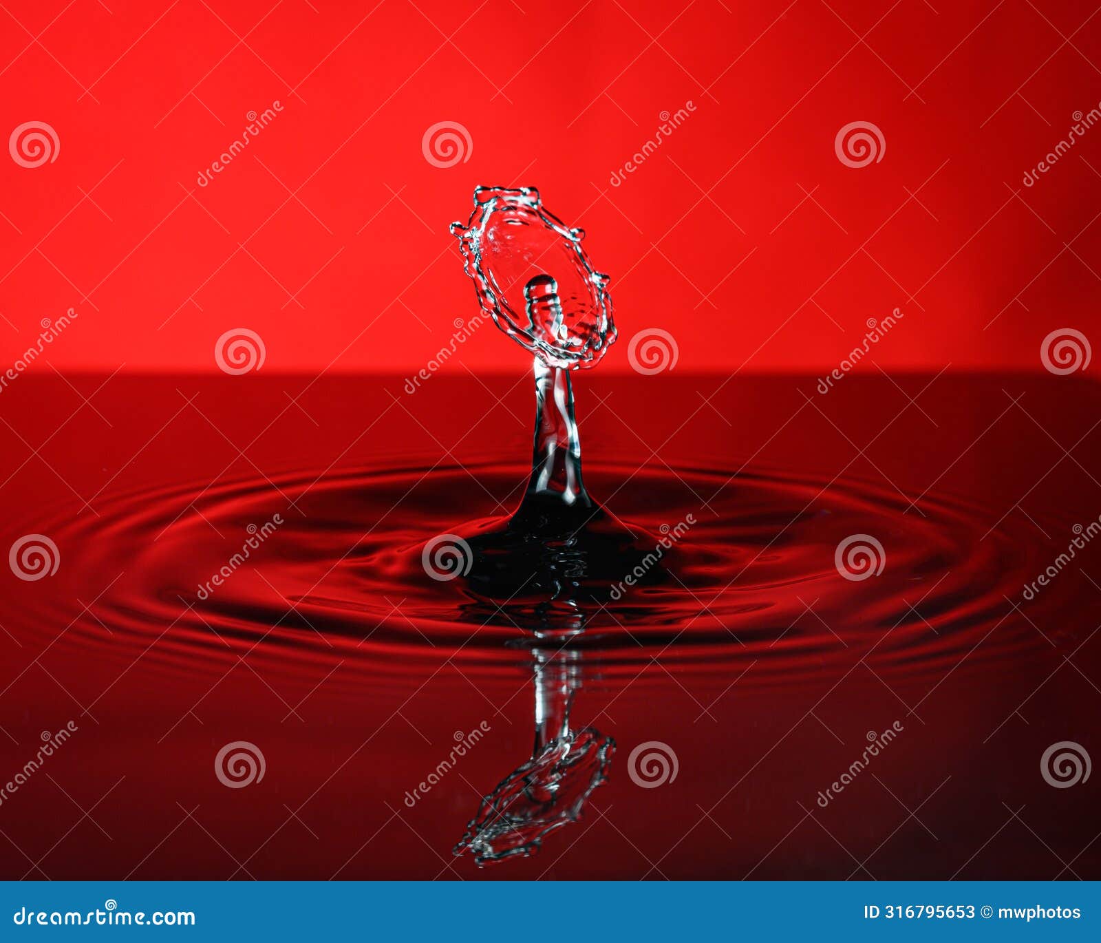 Lasso Water Drop Collision - Red Stock Image - Image of circle, fresh ...