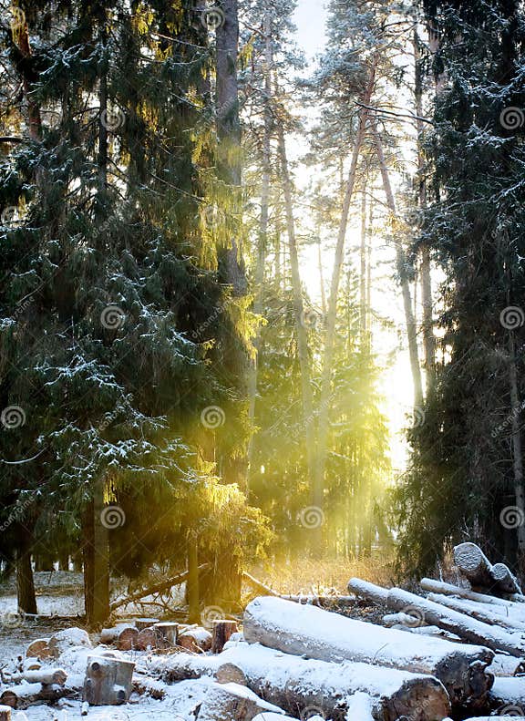 Last day of December stock photo. Image of beautiful - 12403658