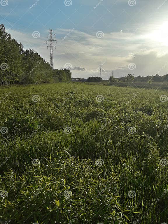 Last day of spring stock photo. Image of river, water - 186017574