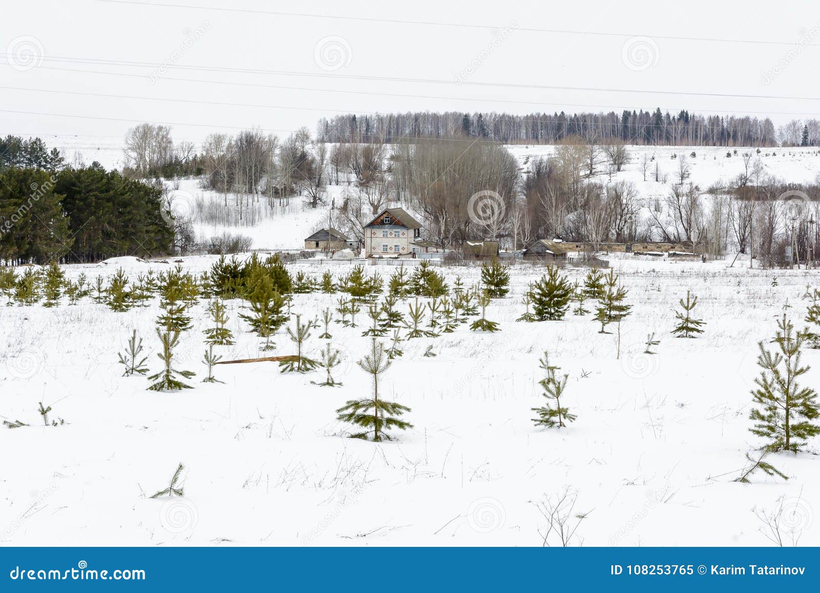 Last Days of Winter on the Fields Stock Image - Image of mountain ...