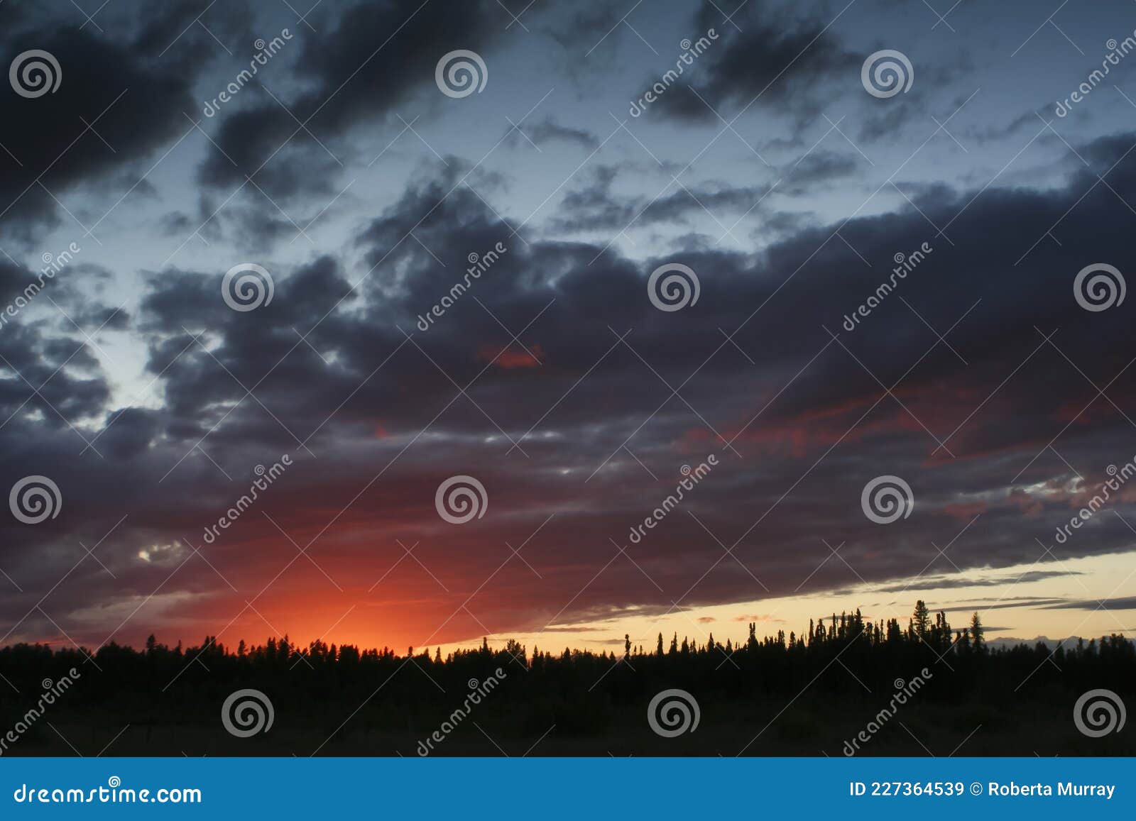The Last Embers Evening Sky Replacement Stock Image - Image of nature ...