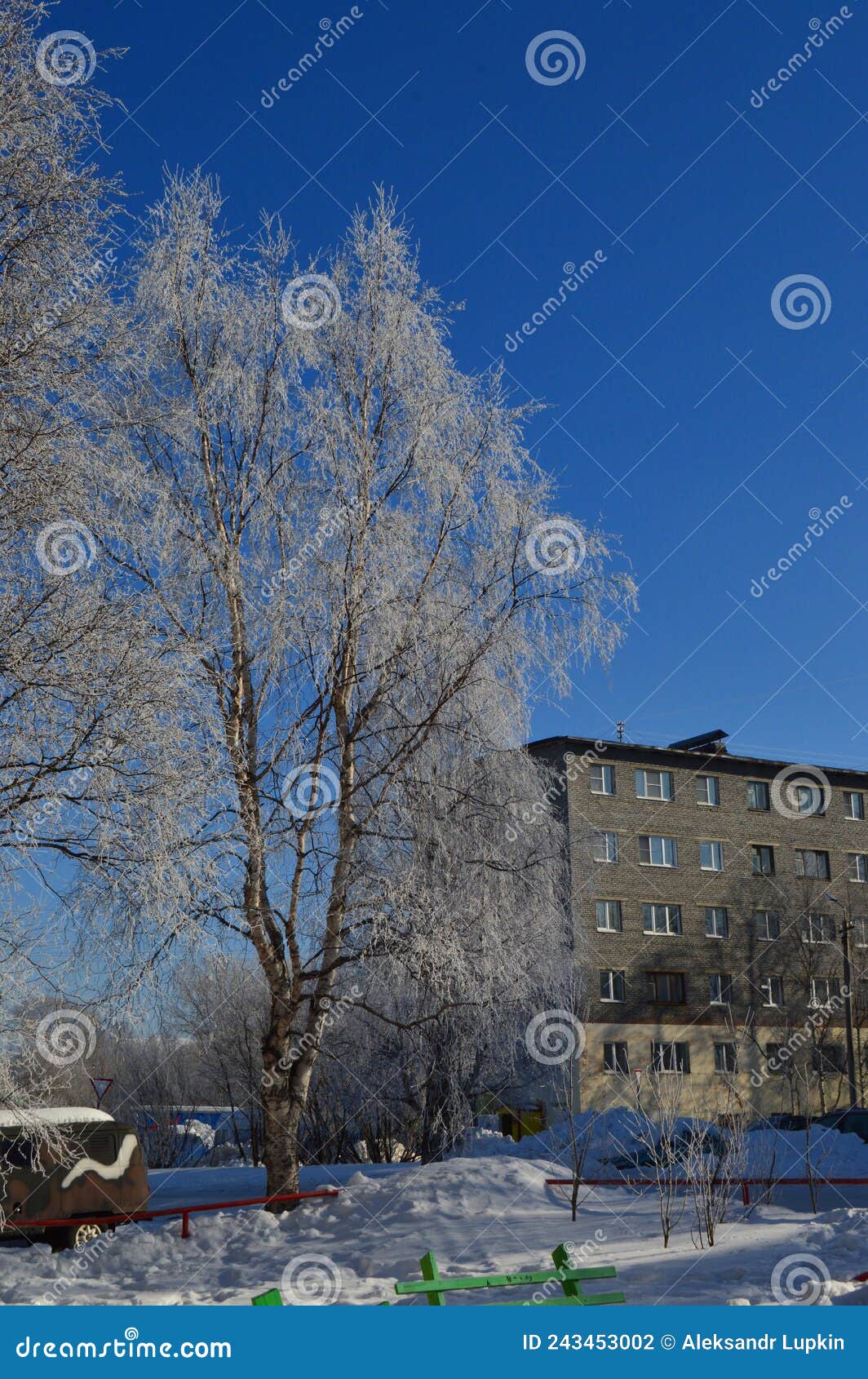 Last Frost in March in the City. Stock Photo - Image of march ...