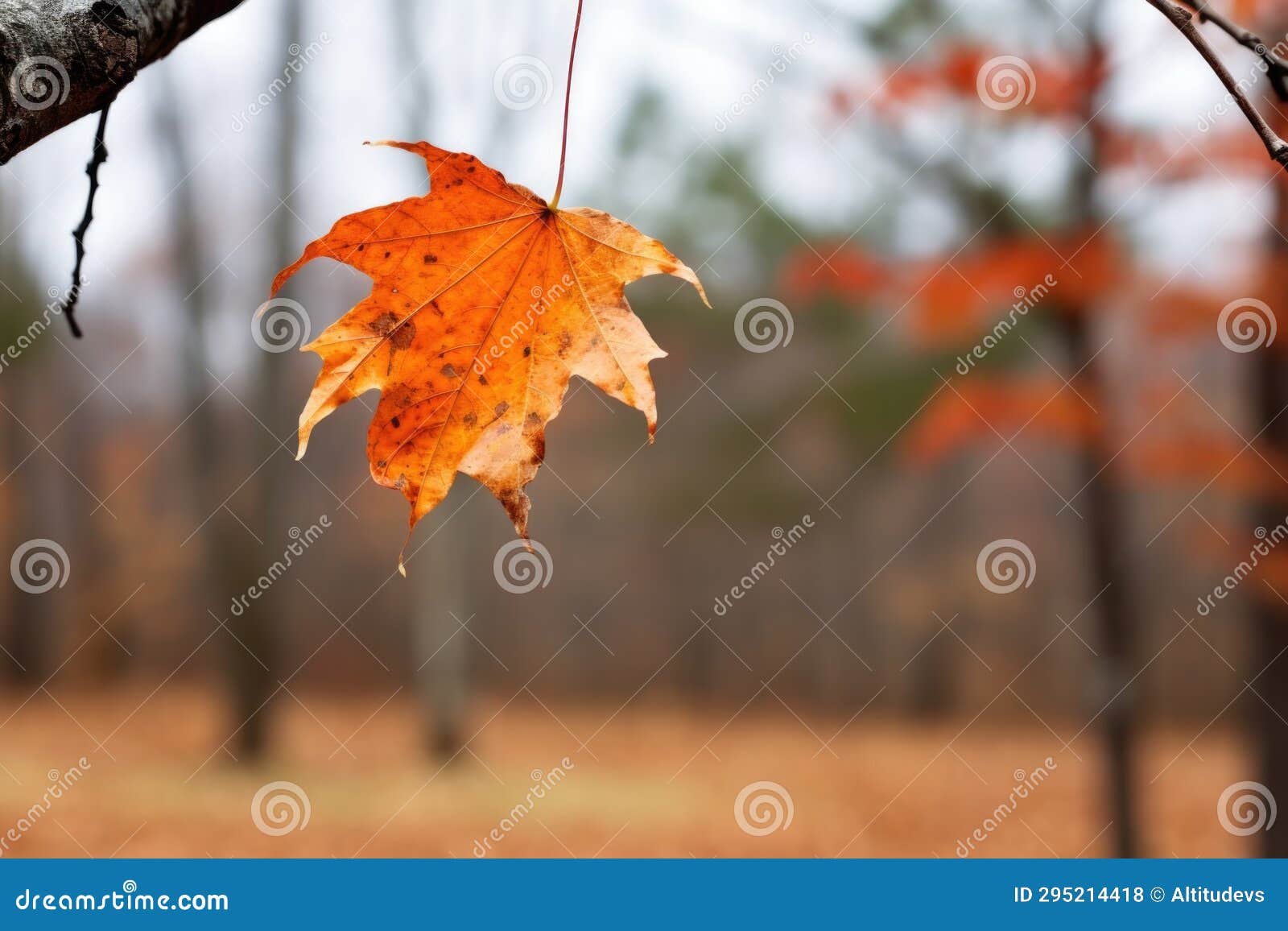 Last Leaf Falling from a Dying Tree Stock Illustration - Illustration ...