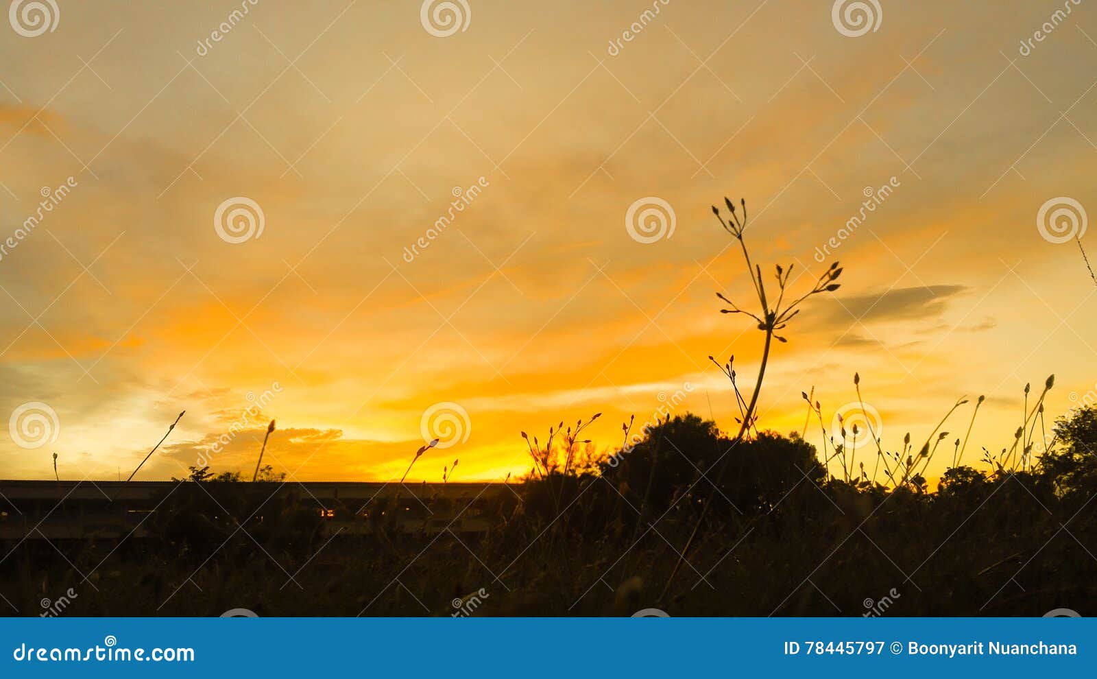 Last light stock image. Image of grass, beach, logo, business - 78445797
