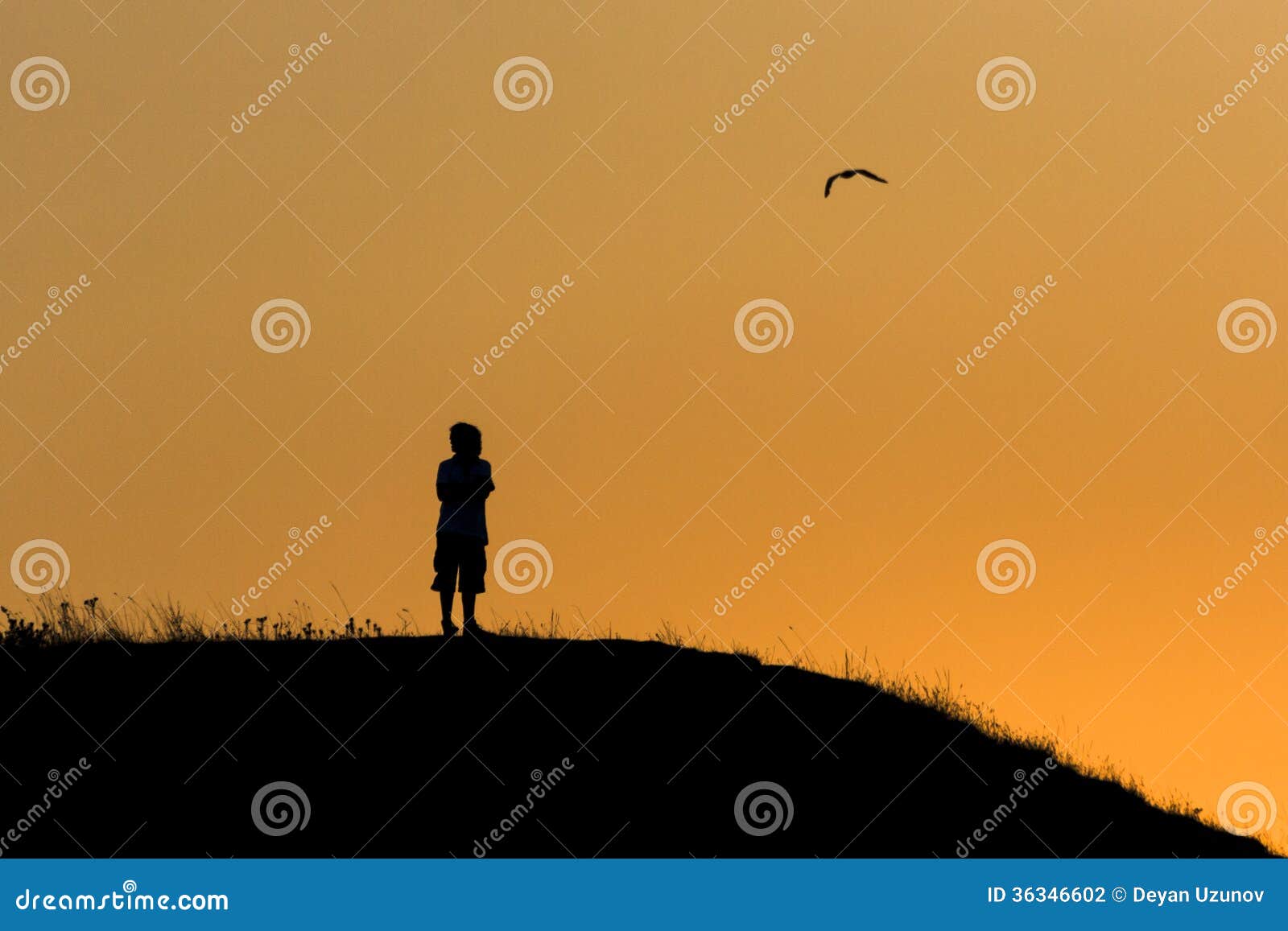 The Last Moments of the Sunset Stock Photo - Image of shadows, nature ...