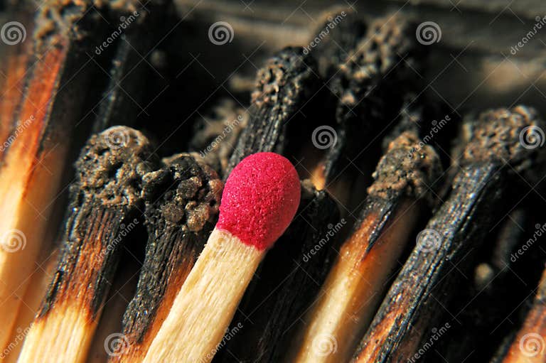 The last one stock photo. Image of chance, danger, single - 1496568