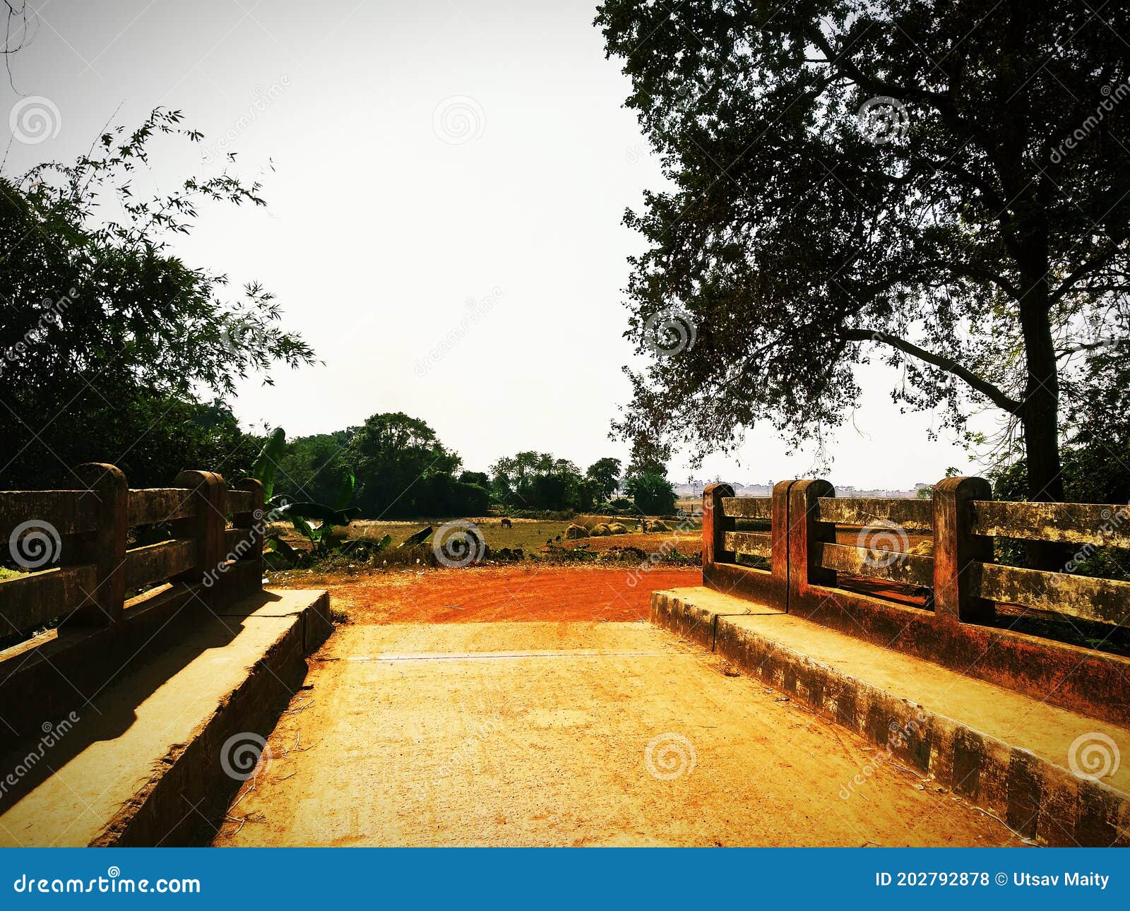 The Last Part of the Bridge Stock Photo - Image of morning, plant ...