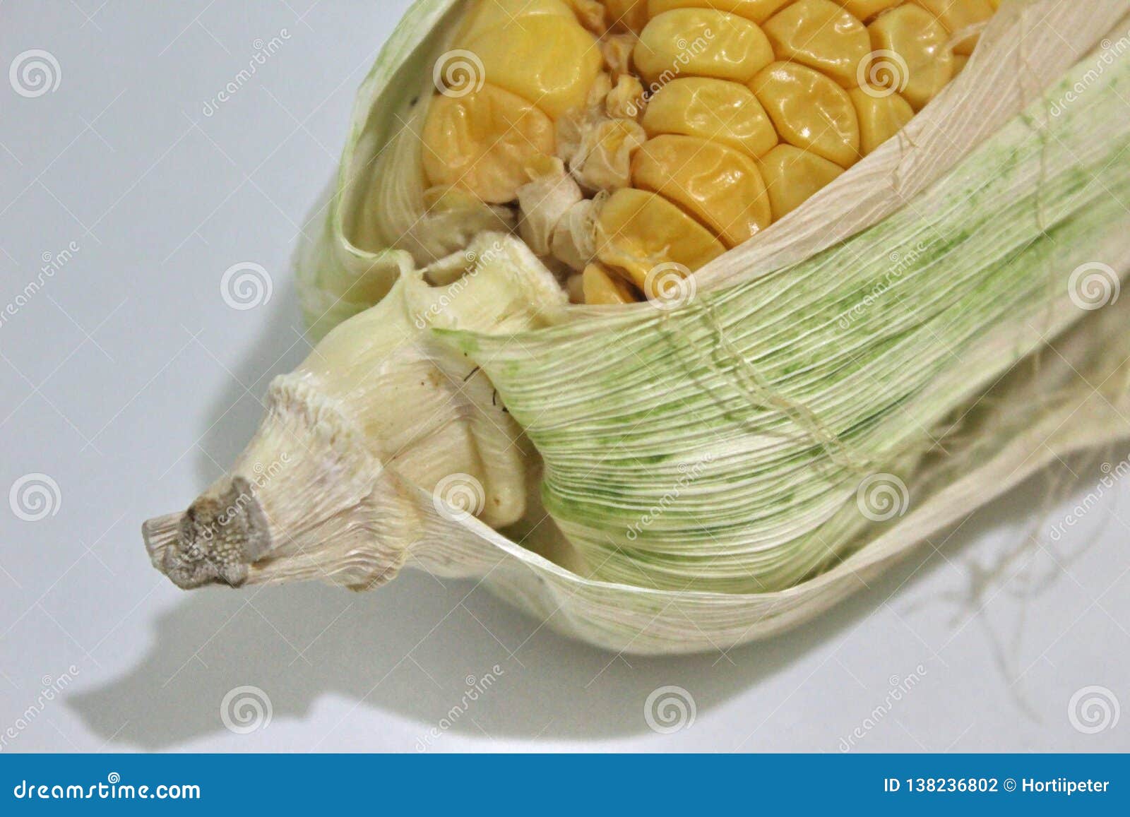 The Last Part of the Corn Cobs with Corn Leaves Stock Photo - Image of ...