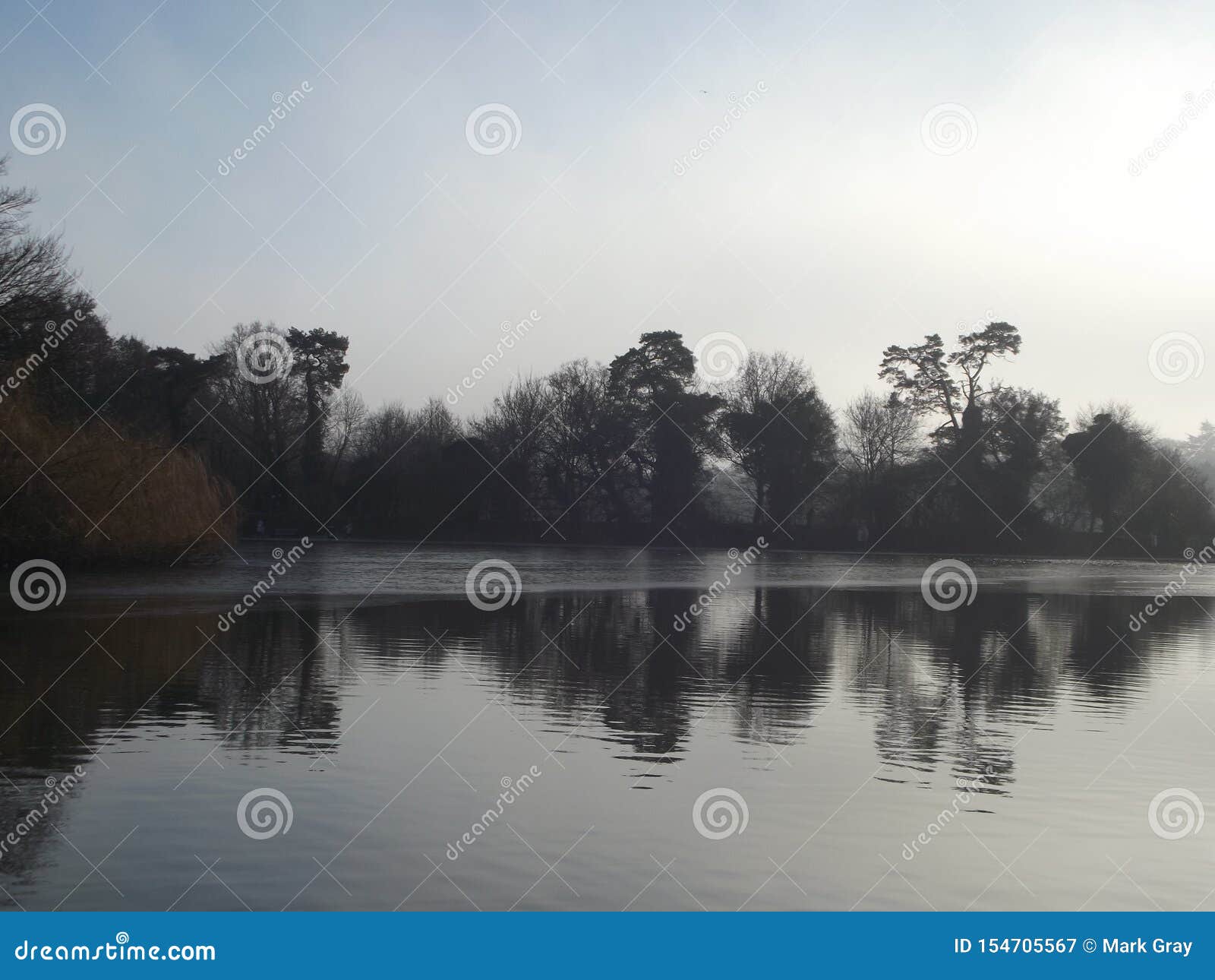 Last Shadows at Dusk stock image. Image of dusk, last - 154705567