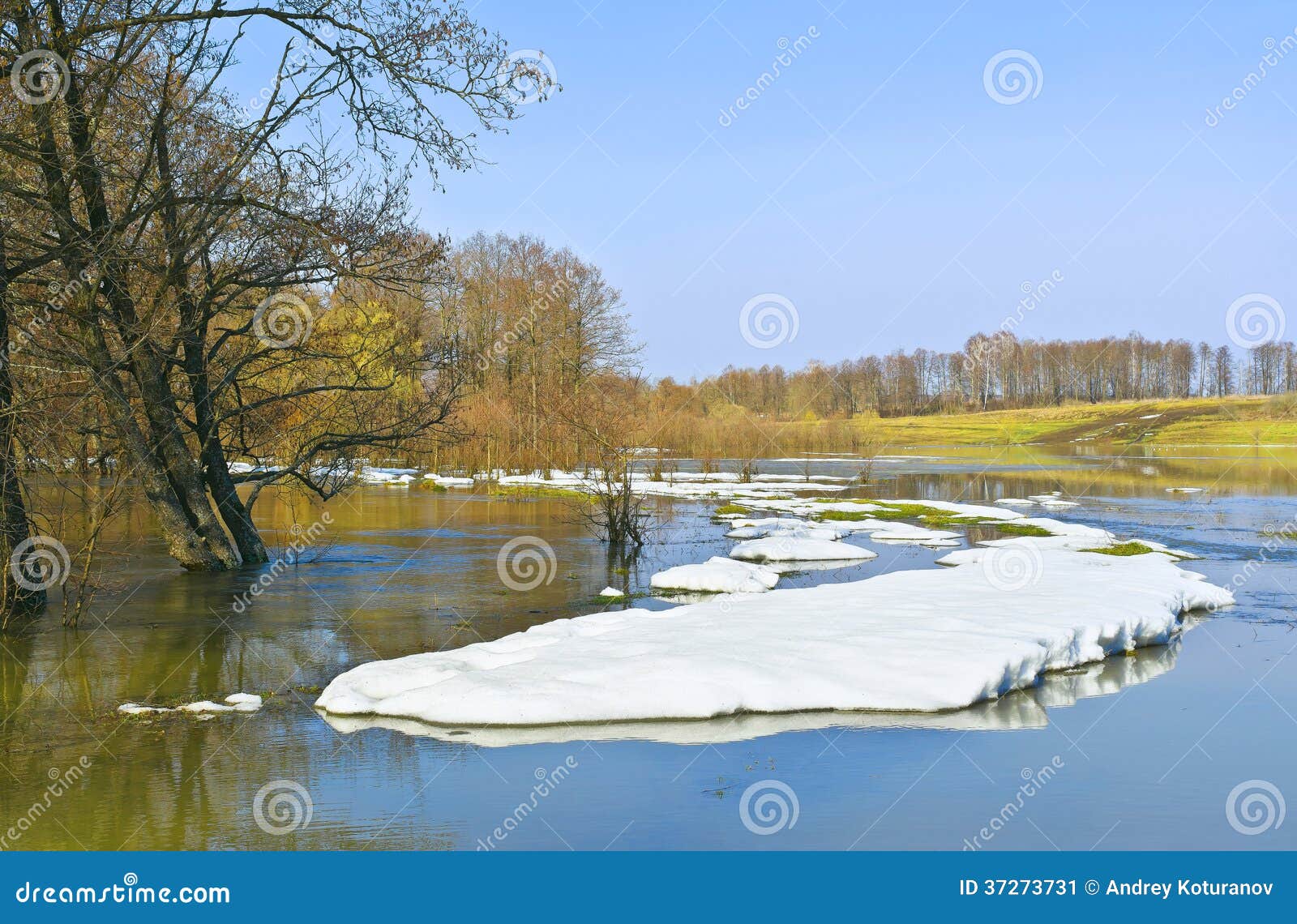 Last snow stock image. Image of overflow, outdoor, bright - 37273731